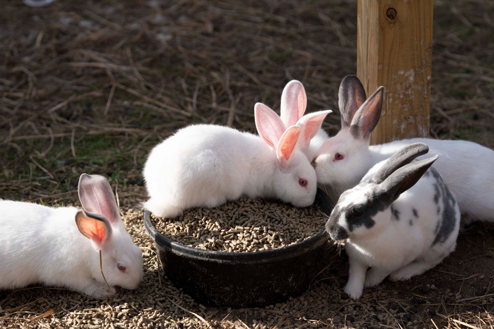 Oorah Events | Gallery