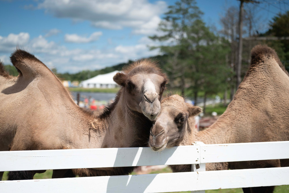 Oorah Events | Gallery